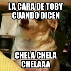 Meme Personalizado - la cara de toby cuando dicen chela chela chelaaa ...