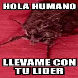 Meme Personalizado - Hola humano Llevame con tu lider - 28476162