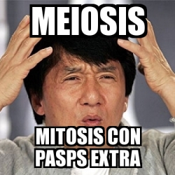 Meme Jackie Chan - meiosis mitosis con pasps extra - 28568345