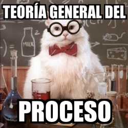 Meme Chemistry Cat - TEORÃ A gENERAL DEL PROCESO - 28614879