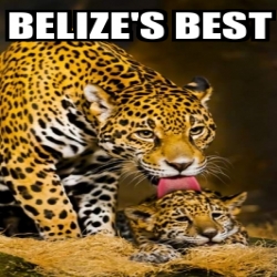 Meme Personalizado - Belize's best - 28656908