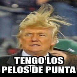 Meme Personalizado - Tengo los pelos de punta - 28721904