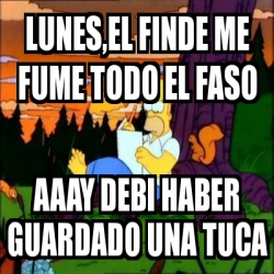 Meme Personalizado - Lunes,el finde me fume todo el faso Aaay debi ...