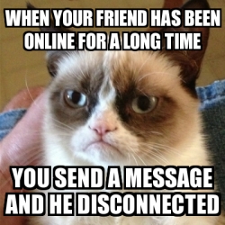 Meme Grumpy Cat - When your friend has been online for a long time you ...
