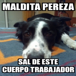 Meme Personalizado - Maldita pereza Sal de este cuerpo trabajador ...