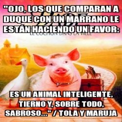Meme Personalizado - "ojo, los que comparan a duque con un marrano le ...