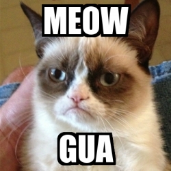 Meme Grumpy Cat - meow gua - 28992944