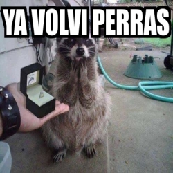 Meme Personalizado - ya volvi perras - 29107296