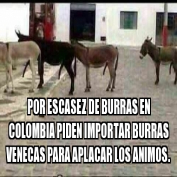 Meme Personalizado - Por ESCASEZ de burras en colombia piden importar ...