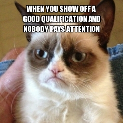 Meme Grumpy Cat - when you show off a good qualification and nobody ...