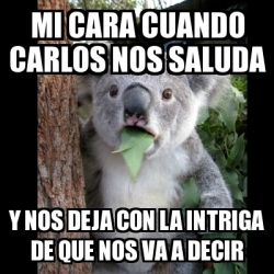 Meme Koala - mi cara cuando carlos nos saluda y nos deja con la intriga ...