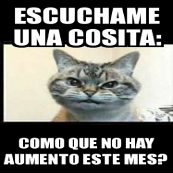 Meme Personalizado - escuchame una cosita: como que no hay aumento este ...