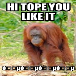 Meme Personalizado - hi tope you like it ðŸ µðŸ µðŸ µðŸ µ - 29383548