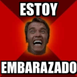 Meme Arnold - estoy embarazado - 29547467