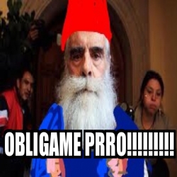 Meme Personalizado - OBLIGAME PRRO!!!!!!!!! - 29636351