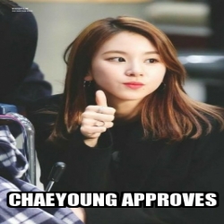 Meme Personalizado - Chaeyoung approves - 29645894