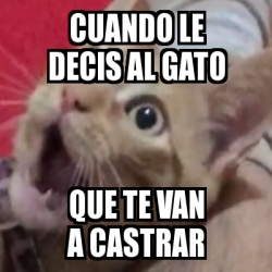Meme Personalizado - Cuando le decis al gato Que te van a castrar ...
