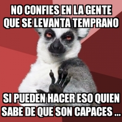 Meme Chill Out Lemur - No confies en la gente que se levanta temprano ...