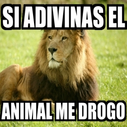 Meme Personalizado - Si adivinas el Animal me drogo - 29717823