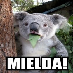 Meme Personalizado - MIELDA! - 29724294