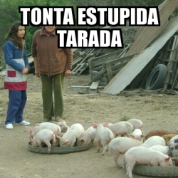Meme Personalizado - TONTA ESTUPIDA TARADA - 29728154
