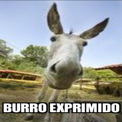 Meme Personalizado - burro exprimido - 29732527