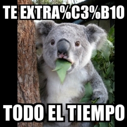 Meme Koala - Te extra%C3%B1o Todo el tiempo - 29735430