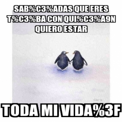 Meme Personalizado - sab%C3%ADas que eres t%C3%BA con qui%C3%A9n quiero ...