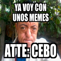 Meme Personalizado - YA VOY CON UNOS MEMES ATTE: CEBO - 29737027