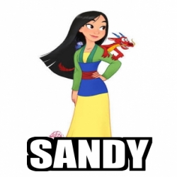 Meme Personalizado - SANDY - 29747828