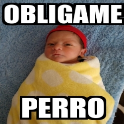 Meme Personalizado - OBLIGAME PERRO - 29754329