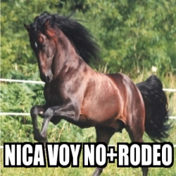 Meme Personalizado - NICA VOY NO+RODEO - 29757517