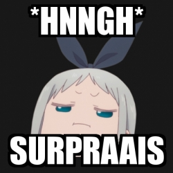 Meme Personalizado - *HNNGH* SURPRAAIS - 29758584