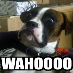 Meme Personalizado - wahoooo - 29777919
