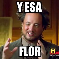 Meme Ancient Aliens - Y esa Flor - 29782640