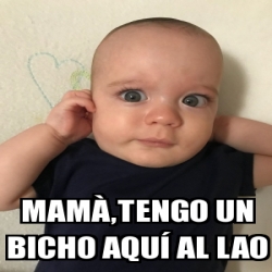 Meme Personalizado - MamÃ ,tengo un bicho aquÃ­ al lao - 29791584