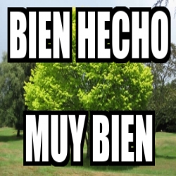 Meme Personalizado - Bien hecho Muy bien - 29802260
