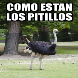 Meme Personalizado - Como estan los pitillos - 29807513