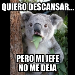 Meme Koala - QUIERO DESCANSAR... PERO MI JEFE NO ME DEJA - 29809955