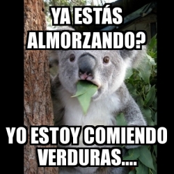 Meme Koala - Ya estÃ¡s almorzando? Yo estoy comiendo verduras.... - 29867151