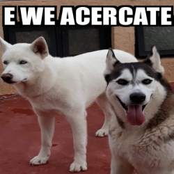 Meme Personalizado - E we acercate - 29879027