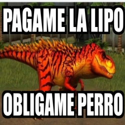 Meme Personalizado - Pagame la lipo Obligame perro - 29881912