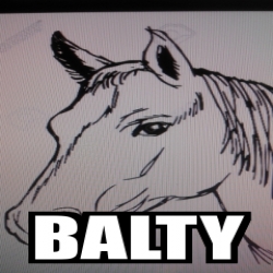 Meme Personalizado - balty - 29092381