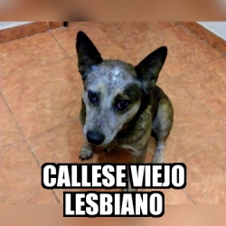 Meme Personalizado - Callese viejo lesbiano - 29910328