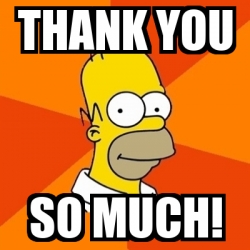 Meme Homer - thank you so much! - 29927954