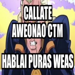 Meme Personalizado - Callate aweonao ctm Hablai puras weas - 29942430