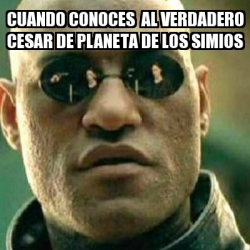 Meme What If I Told You - cuando conoces al verdadero cesar de planeta ...