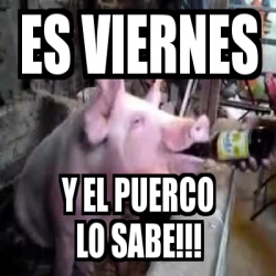 Meme Personalizado - Es viernes Y el puerco lo sabe!!! - 29960131