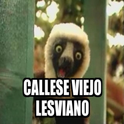 Meme Personalizado - Callese viejo lesviano - 29969329