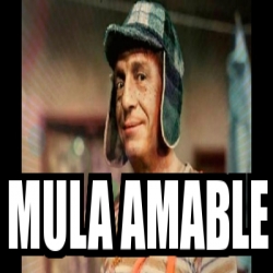 Meme Personalizado - Mula Amable - 29979748